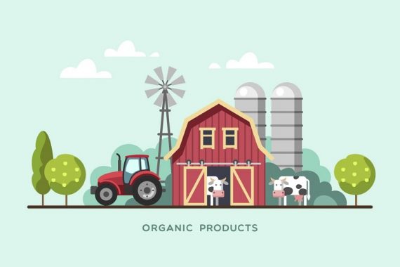 Top Animated Product Explainer Video Ideas - Mango Animate Top Animated Product Explainer Video Ideas - Mango Animate