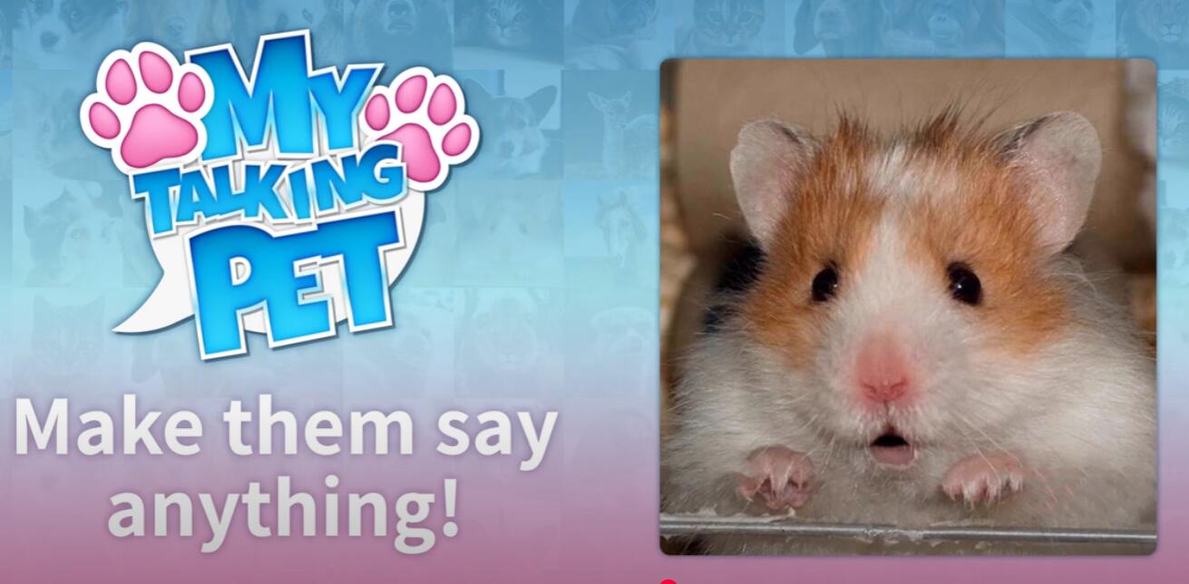 8 Tools to Create Funny Talking Animal Videos Online